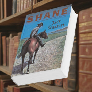 10 Best Western Books to Transport You to the Wild West - John Banville